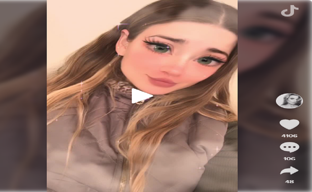 What Is Disney Princess Filter On TikTok – Explained | BrunchVirals