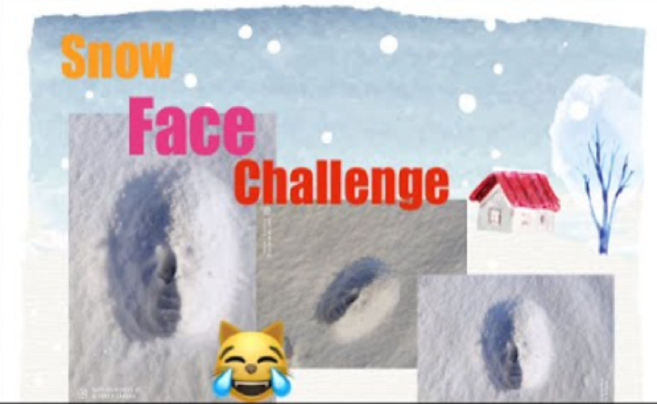 Snowface Challenge – Fun Game To Play On Snowy Days - BrunchVirals
