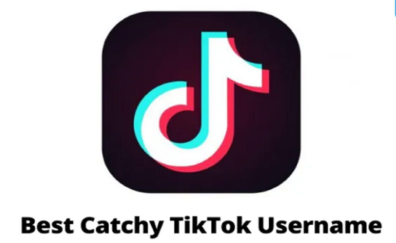 Good TikTok Usernames Best 100 TikTok Names BrunchVirals