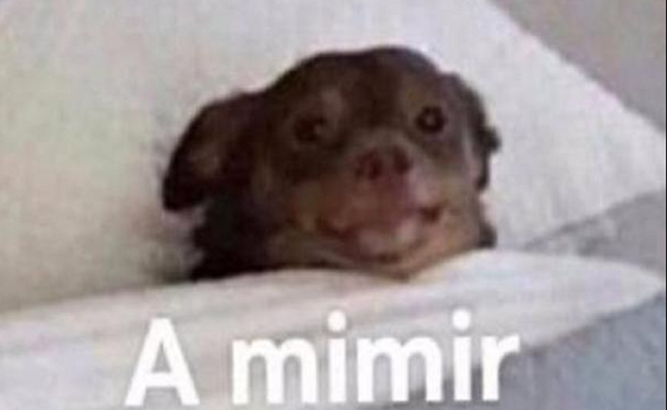 Mimir Meme – Here’s All You Need To Know | BrunchVirals