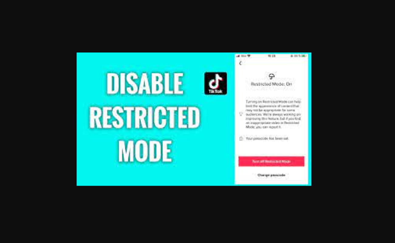 How To Turn Off The Restricted Mode On TikTok — Explained | BrunchVirals
