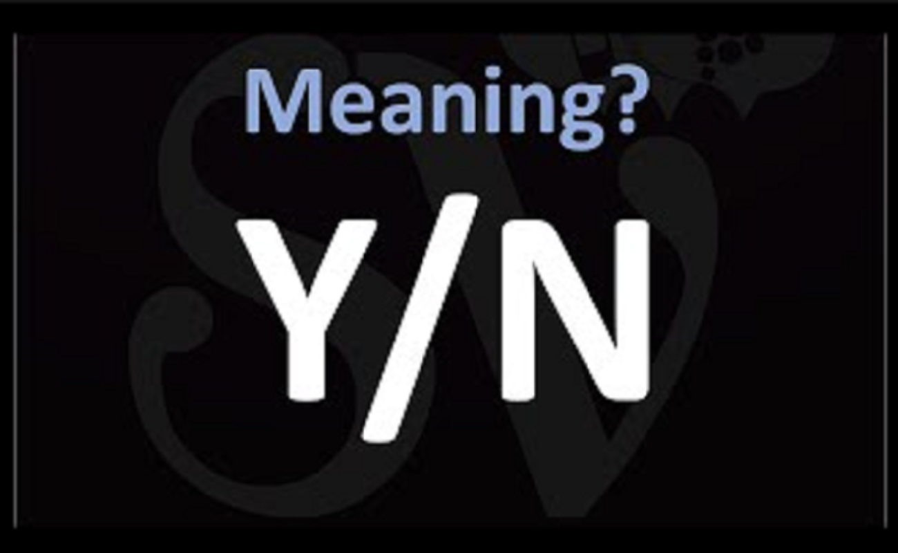 Y N Meaning On Tiktok Explained Brunchvirals