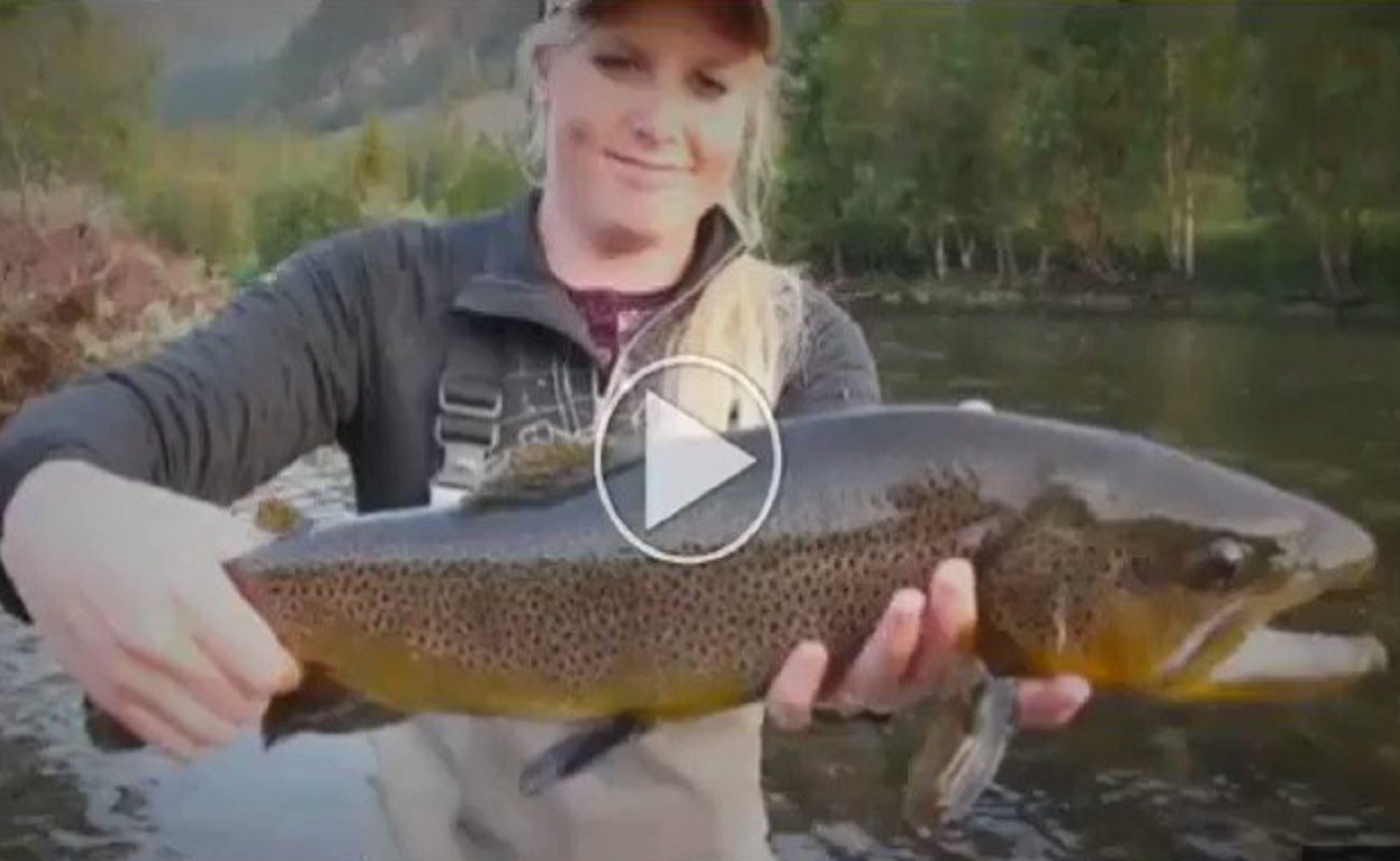 Viral Trout For Clout Video – Video Disgusted Social Media Users ...
