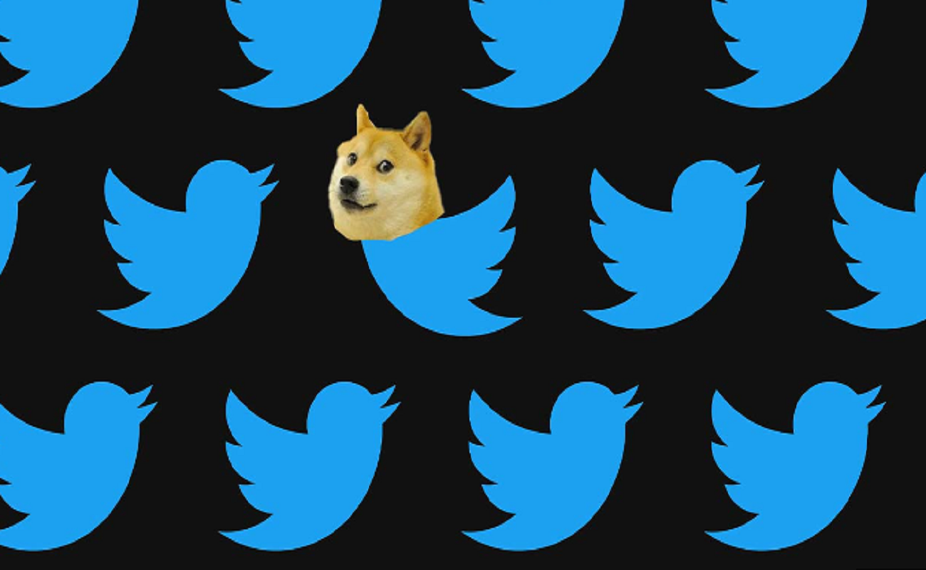 Why Was Twitter Logo Changed To Doge Dog? All You Need To Know ...