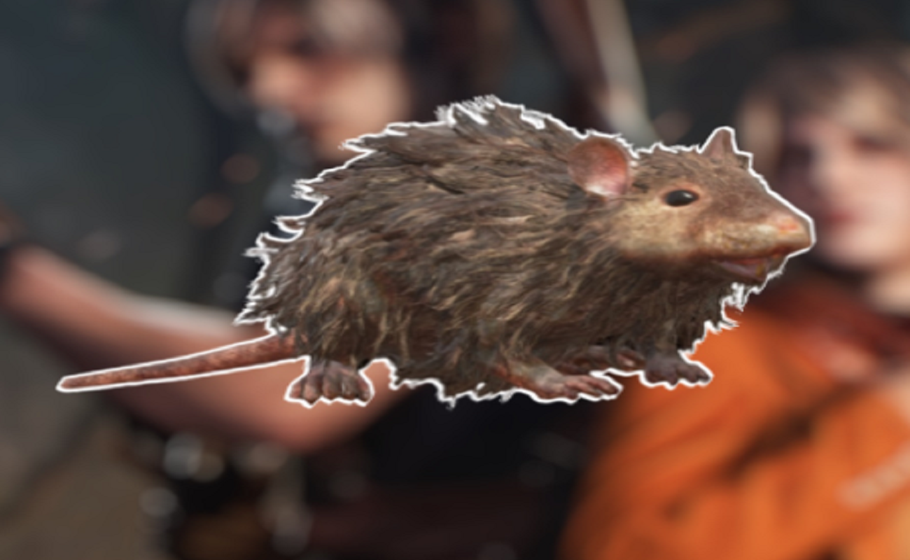 Find The Word Rat Puzzle Answer – Revealed | BrunchVirals