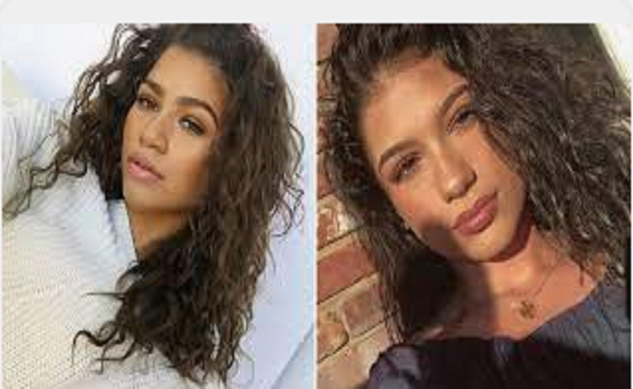 Who Is Zendaya’s Look Alike On TikTok - All You Need To Know | BrunchVirals