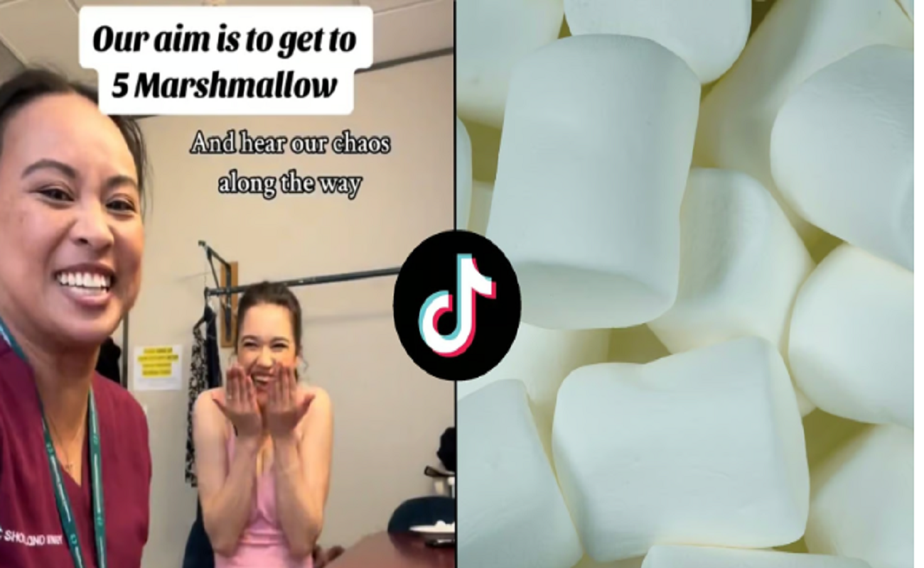 TikTok’s Viral Marshmallow Game - All You Need To Know | BrunchVirals
