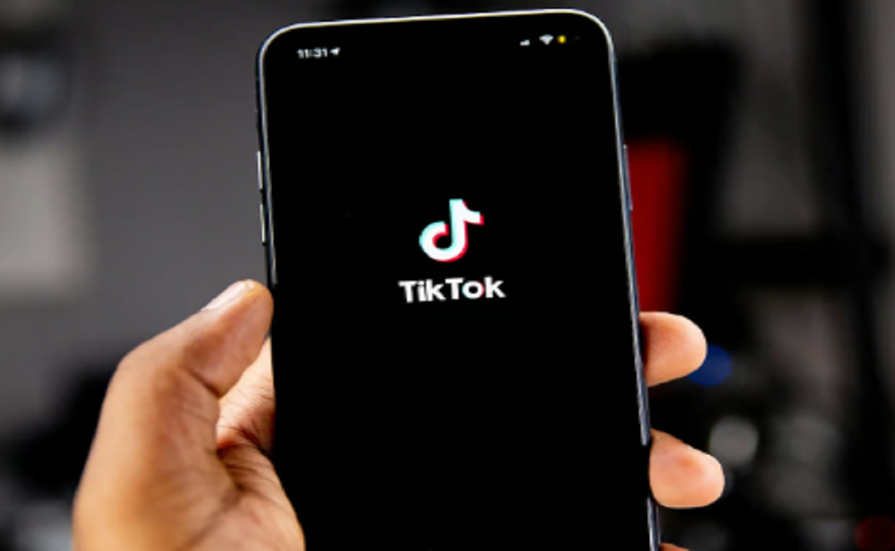 What Is Friend Dictionary on TikTok - Explained | BrunchVirals