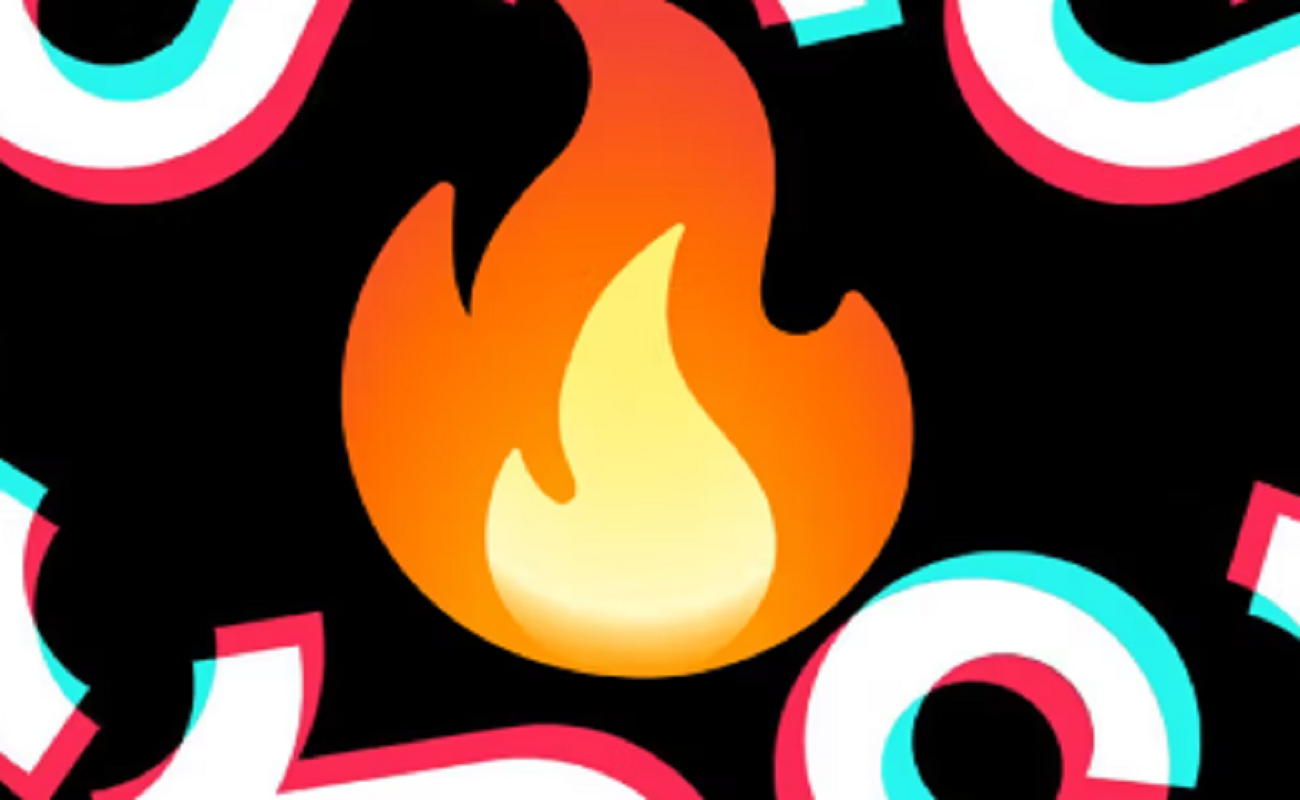 How To Get A Streak Pet On TikTok - Here’s How To Get It | BrunchVirals