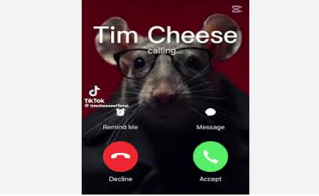 Who Is Tim Cheese On TikTok – All You Need To Know | BrunchVirals